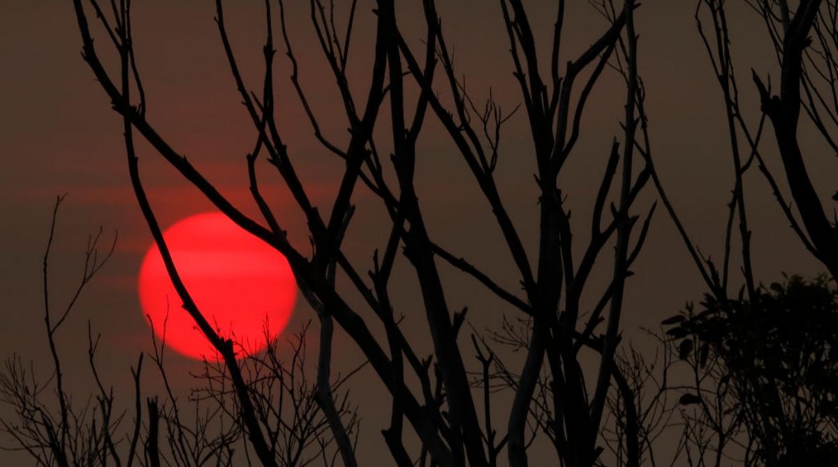 Why Does the Sun Look Red? Wildfires Are Often to Blame