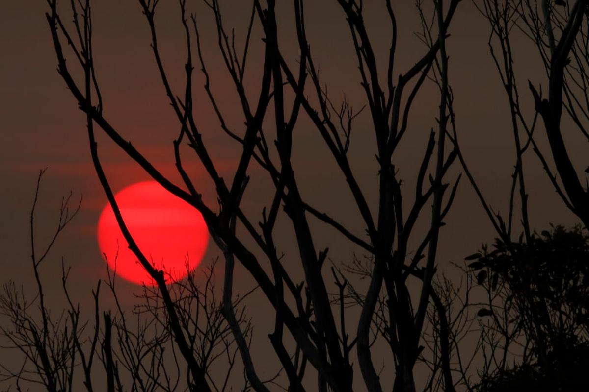 Why Does the Sun Look Red? Wildfires Are Often to Blame