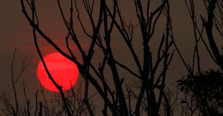 Why Does the Sun Look Red? Wildfires Are Often to Blame