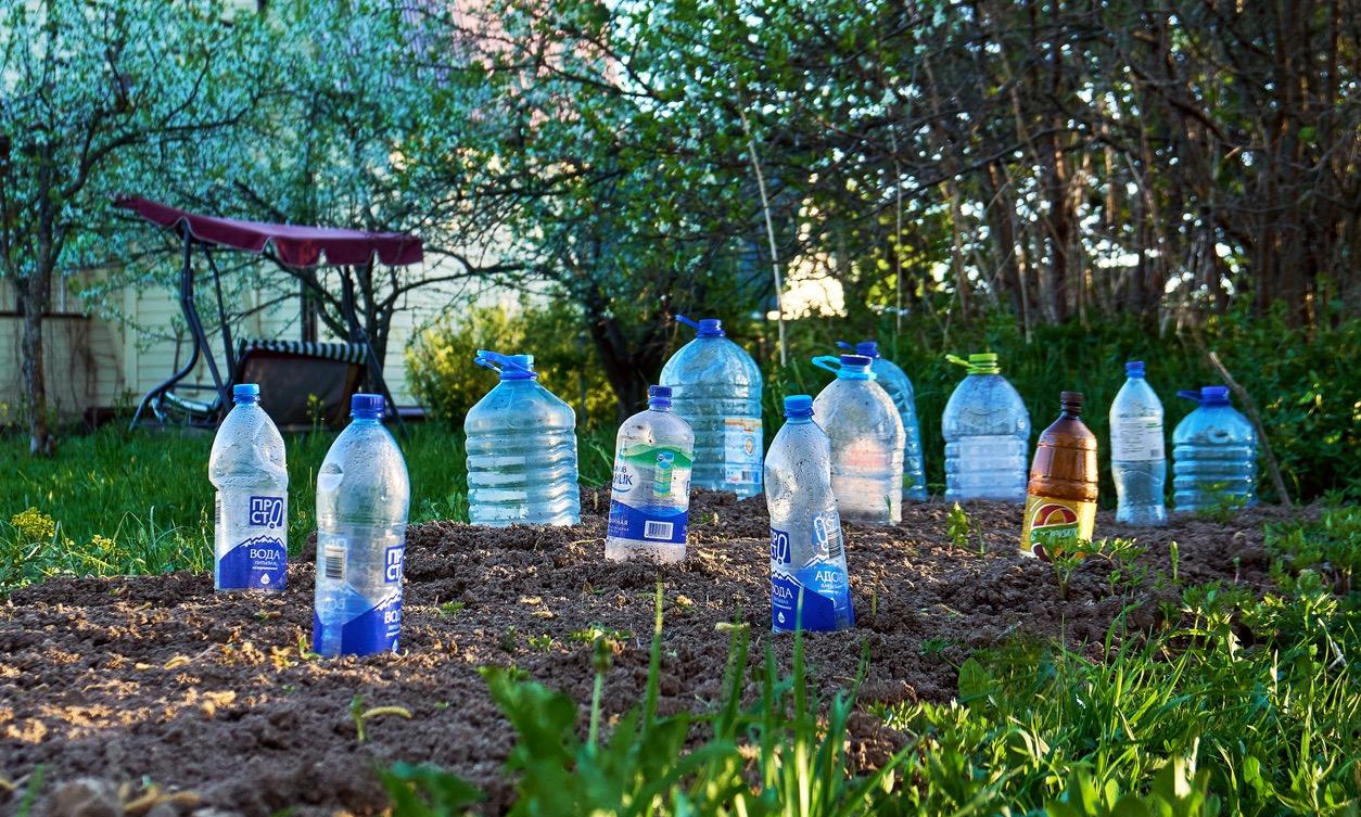Milk Jug Gardening Ideas