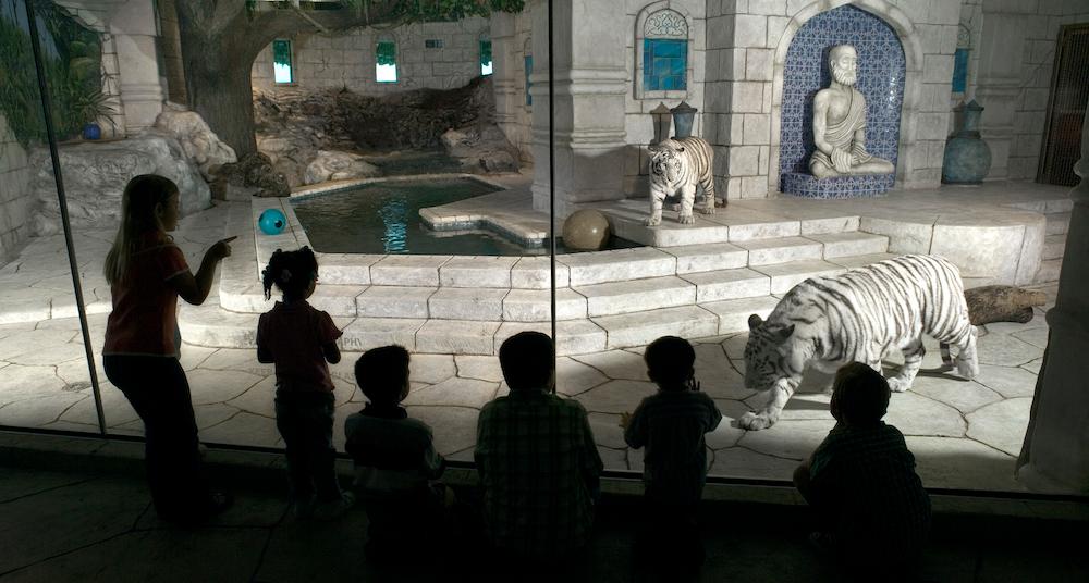 Why Zoos Should Be Banned: Behind the Abuse