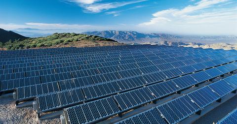 How Does Biomass Energy Work? The Science Behind It Is Mind-Blowing