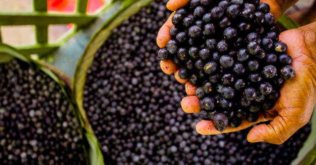 What Does Açaí Taste Like? Work This Fruit Into Your Diet