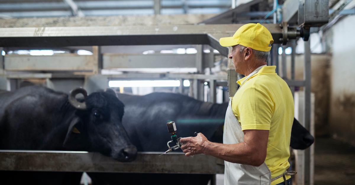 What Is an Underwater Farm? They're Completely Self-Sufficient
