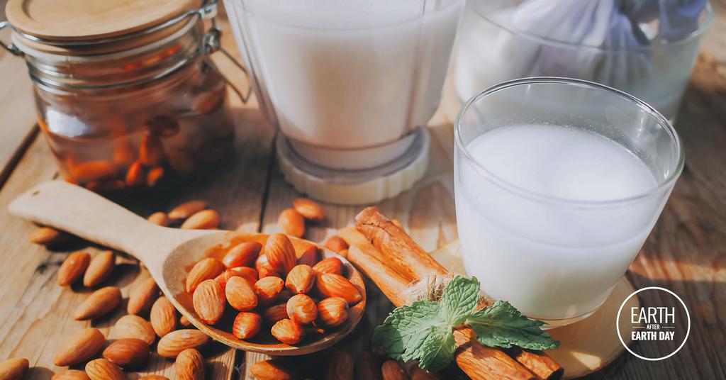 Learn How You Can Make Your Own Nut and Oat Milk at Home