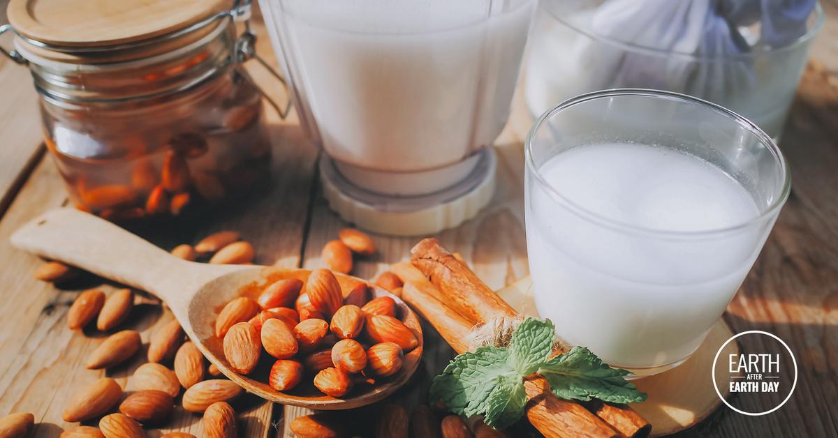 Learn How You Can Make Your Own Nut and Oat Milk at Home