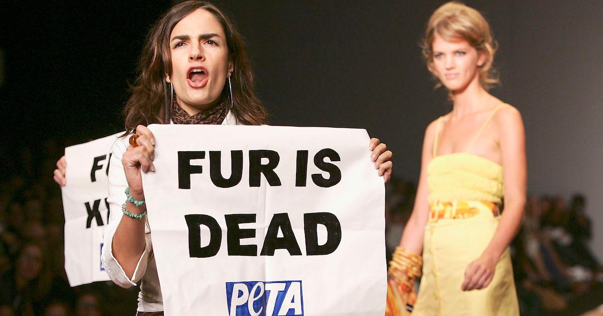 Where Can I Donate Real Fur Coats? How to Pass On Your Furs, Ethically