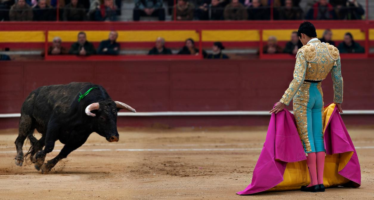Bullfighting Ethics: Why Are Fights Still Allowed?