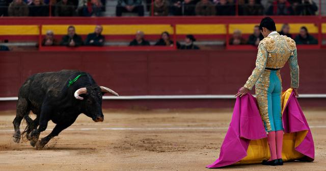 Bullfighting Ethics: Why Are Fights Still Allowed?