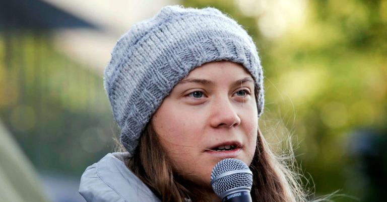 Does Greta Thunberg Own and Use a Private Jet? Details Here