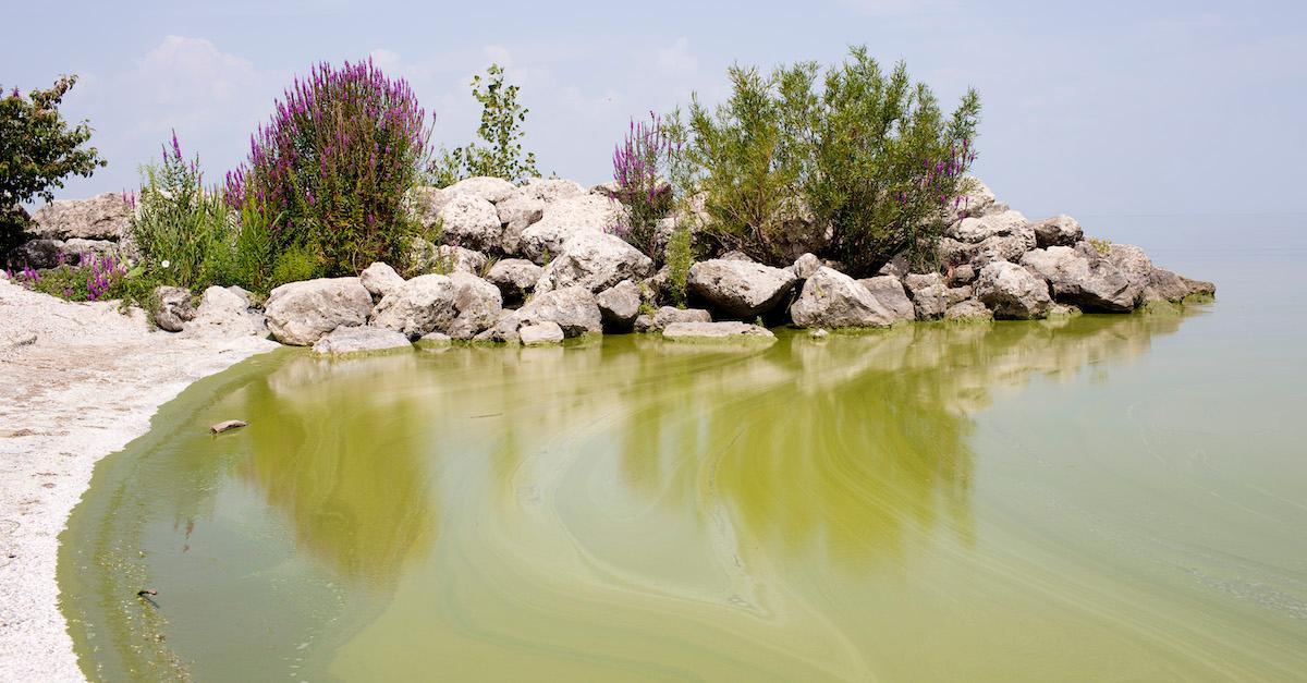 Sewage Overflow From Lake Erie Contaminates Ohio Beaches