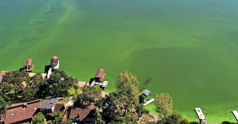 Blue-Green Algae Symptoms, if You Happen to Come Into Contact With It