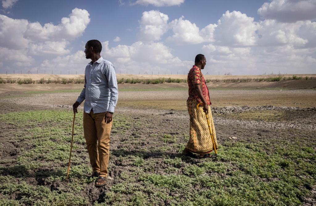 What Is Pastoralism? The Environmental Impacts of Animal Agriculture