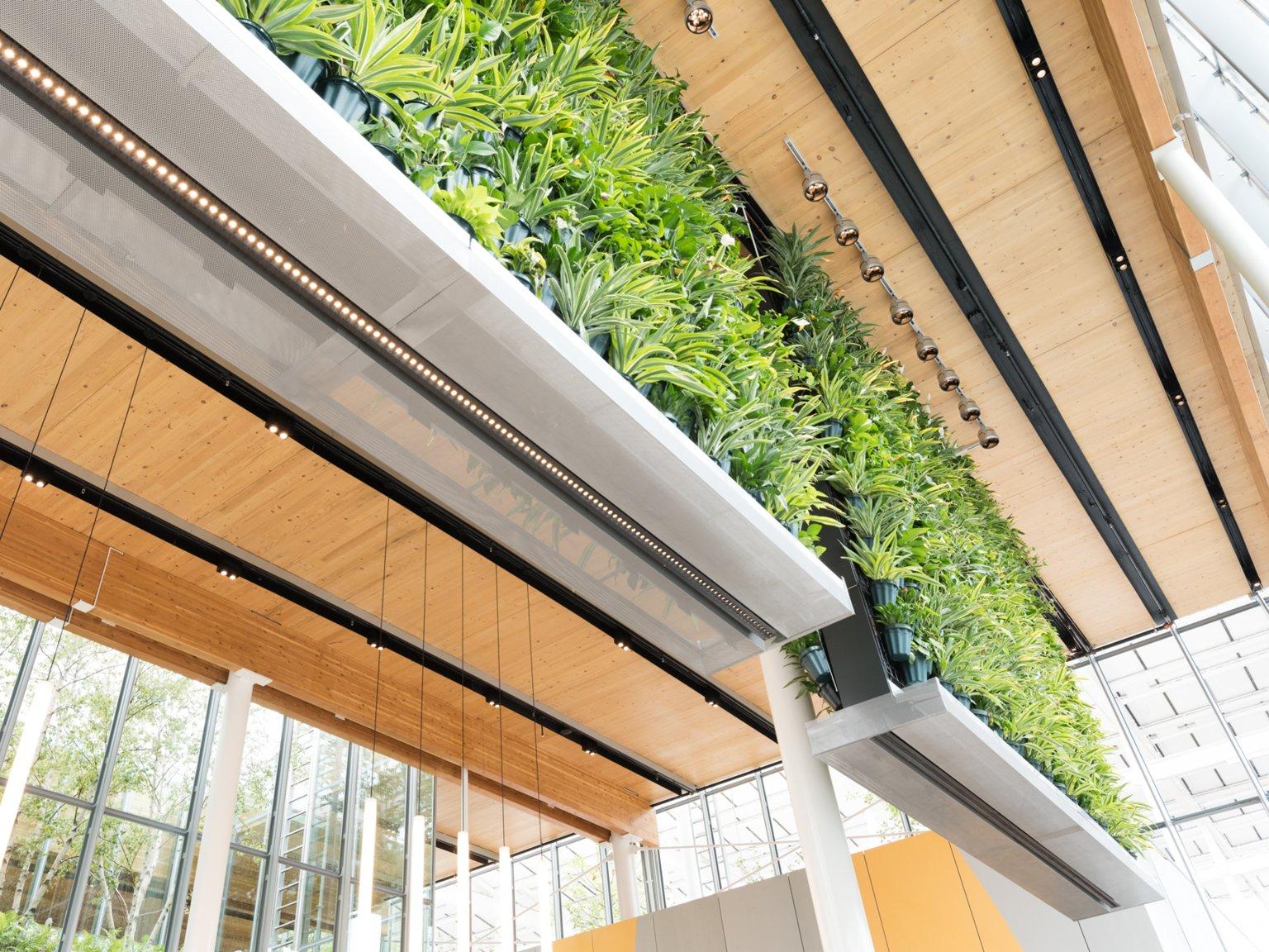 McDonald's New Flagship Store Focuses On Sustainability