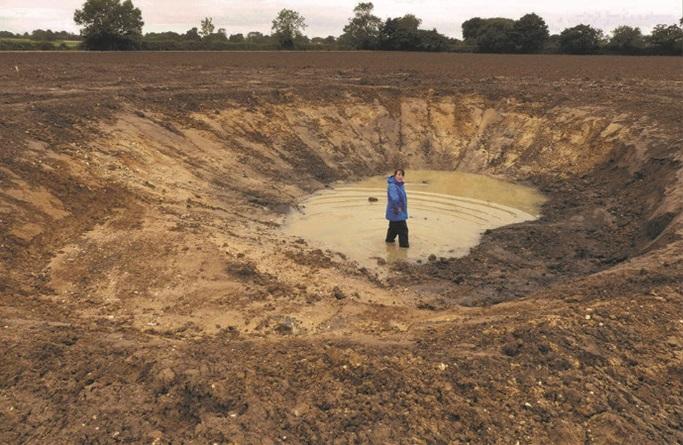 What Are Ghost Ponds and How Can They Resurrect Extinct Plant Species?