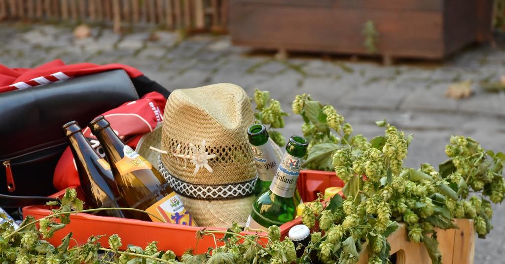 10 Of The Best Farm-to-Bottle Beers In North America