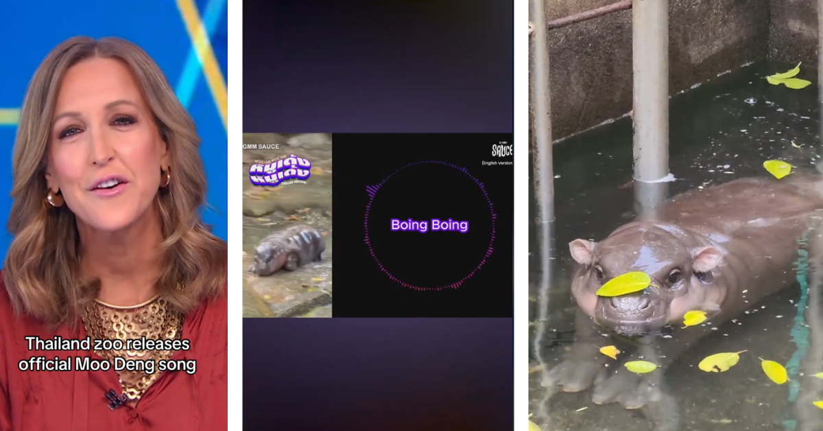 Thailand Zoo Releases Moo Deng Song — Details Here