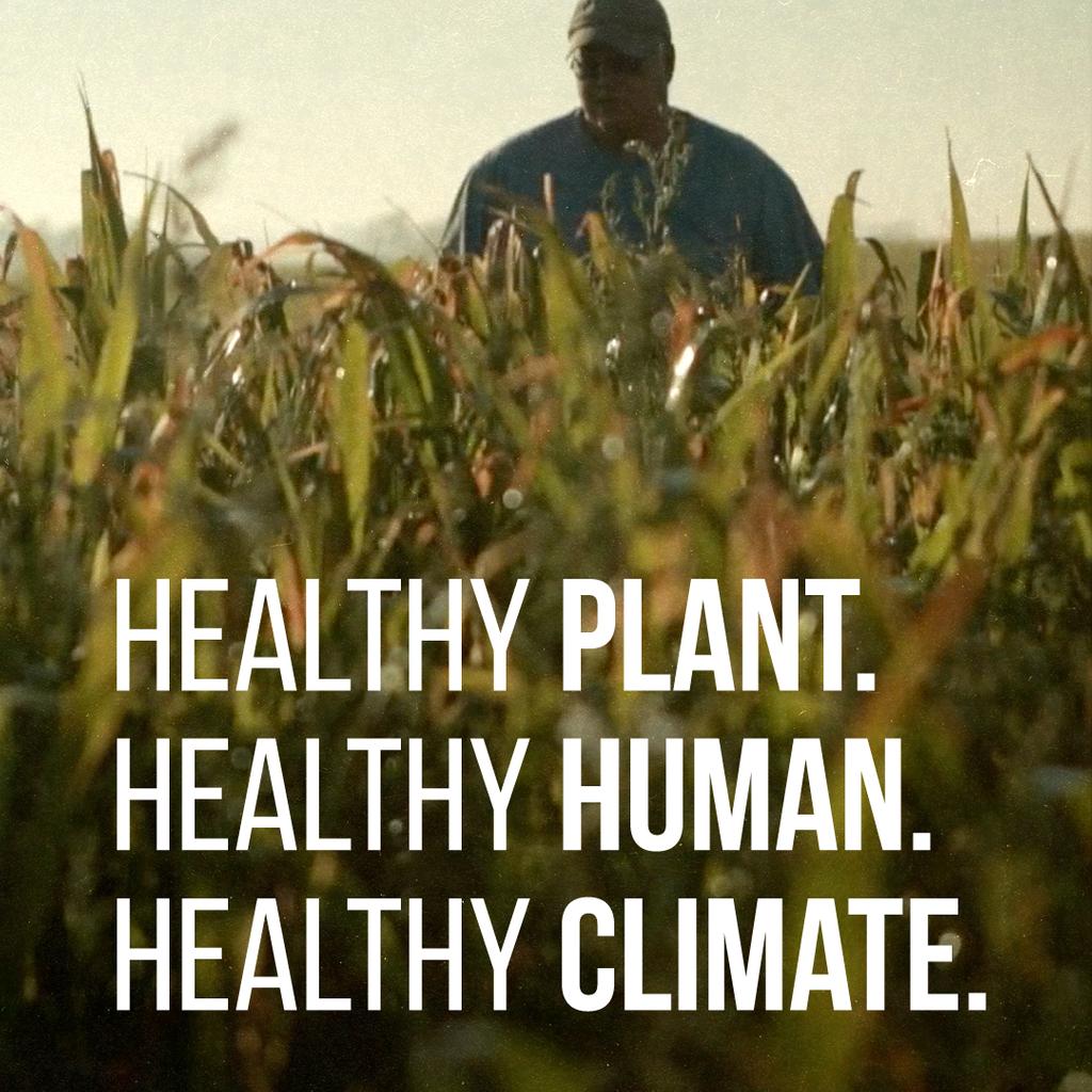 ‘kiss the ground’ review: regenerating hope for the climate | kiss the ...
