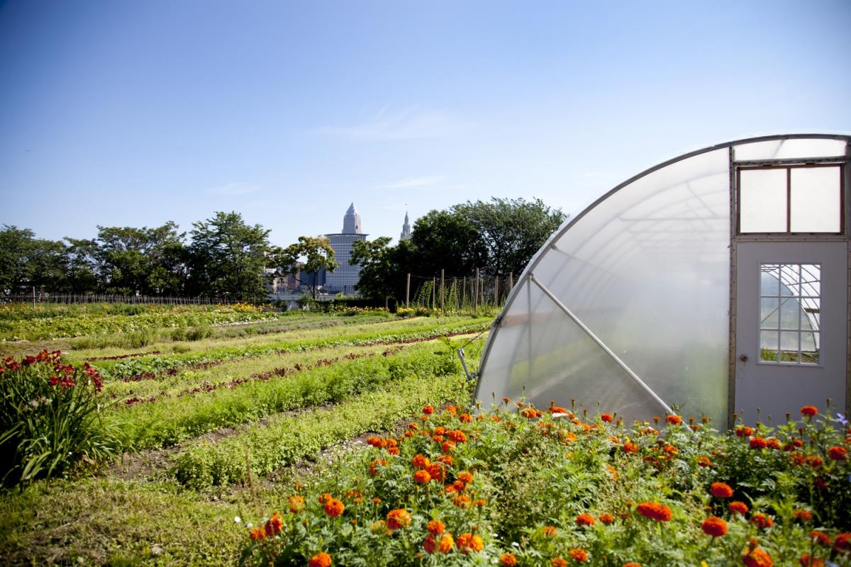 5 Urban Farms Around The U.S. Changing Their Communities For The Better
