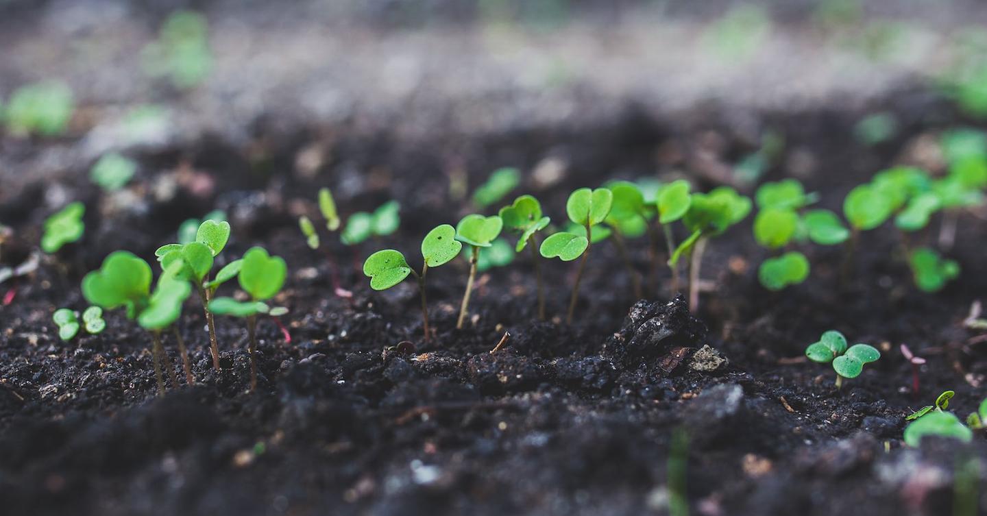 Plantagon Is Sweden's Revolutionary Indoor Farm