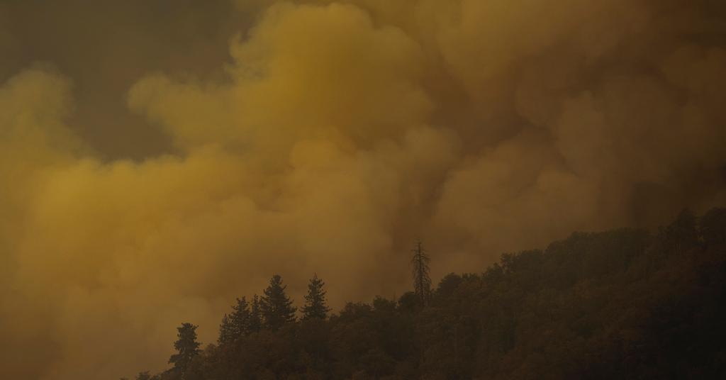 Argentina's Wildfire Smoke Is Suffocating Paraguay Right Now