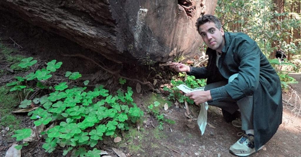 Biodegradable Coffin by Loop Biotech Benefits Nature