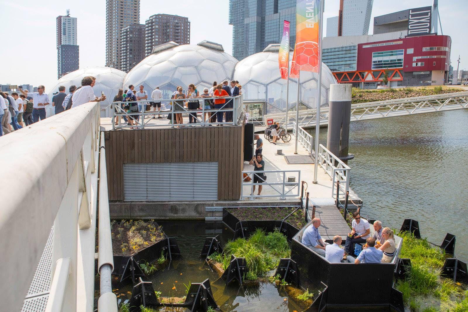 Rotterdam Made A Floating Park Entirely From Recycled Plastic Waste