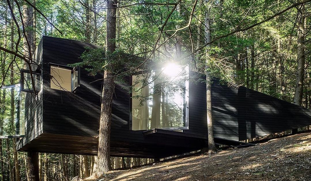 This 'Half-Tree House' Is A Unique Upgrade To Traditional Log Cabins