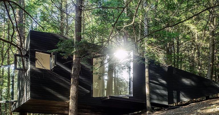This 'Half-Tree House' Is A Unique Upgrade To Traditional Log Cabins