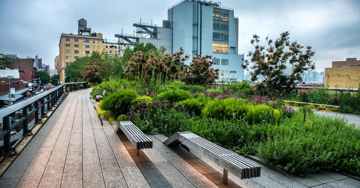 NYC Commits To $100 Million Green Initiative To Beat Urban Heat