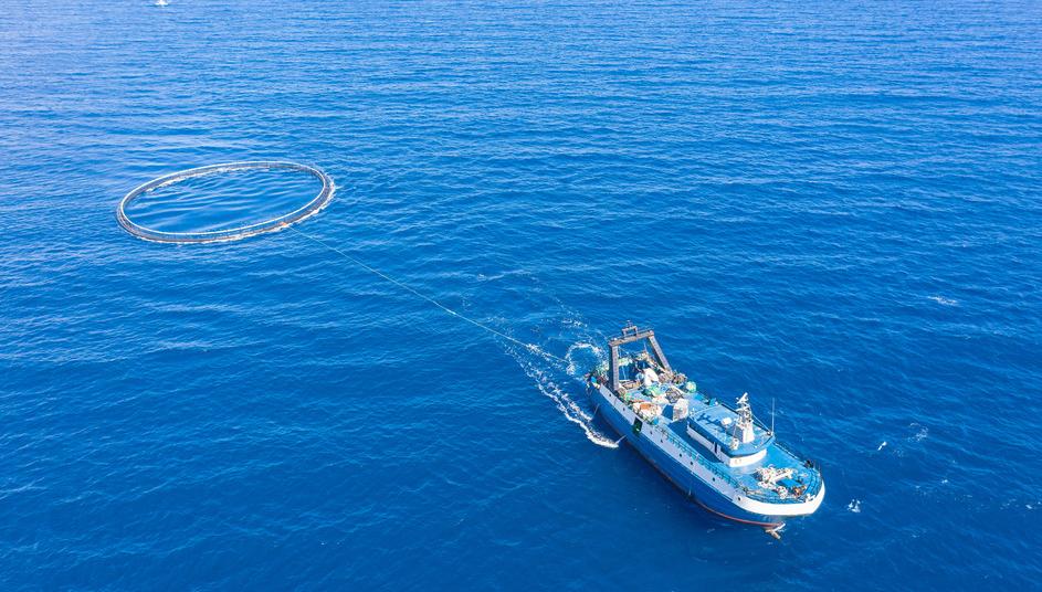 Why Is Overfishing a Problem, and What Can Be Done About It?