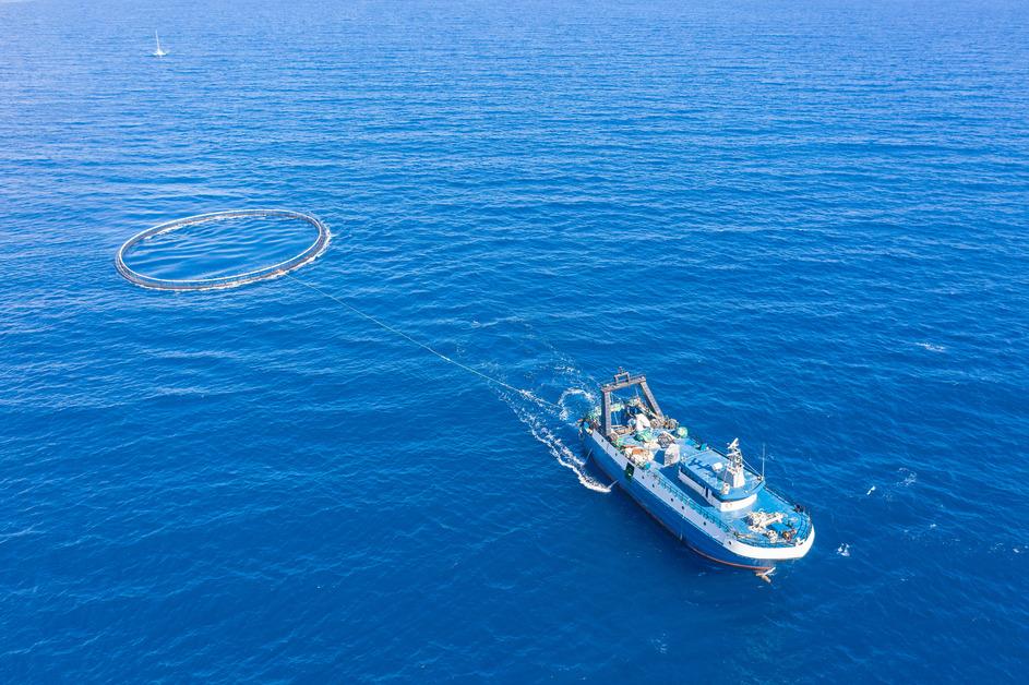 Why Is Overfishing a Problem, and What Can Be Done About It?