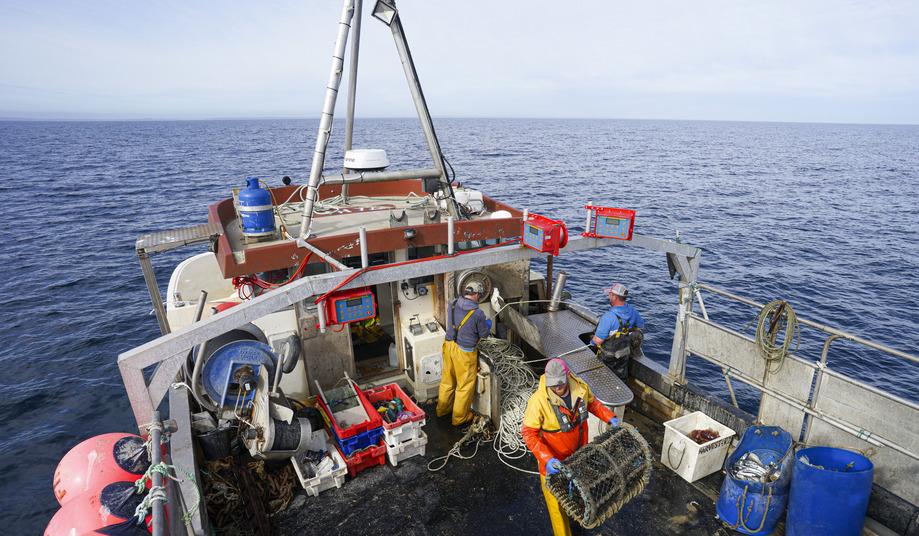 Why Is Overfishing a Problem, and What Can Be Done About It?