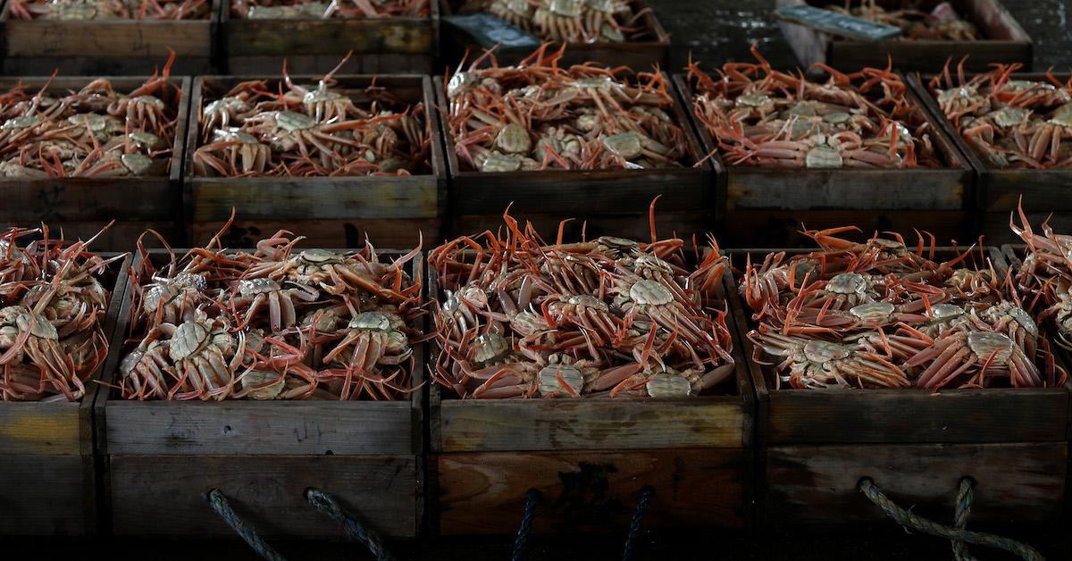 Snow Crab Missing From Alaskan Waters — Thanks to Climate Change