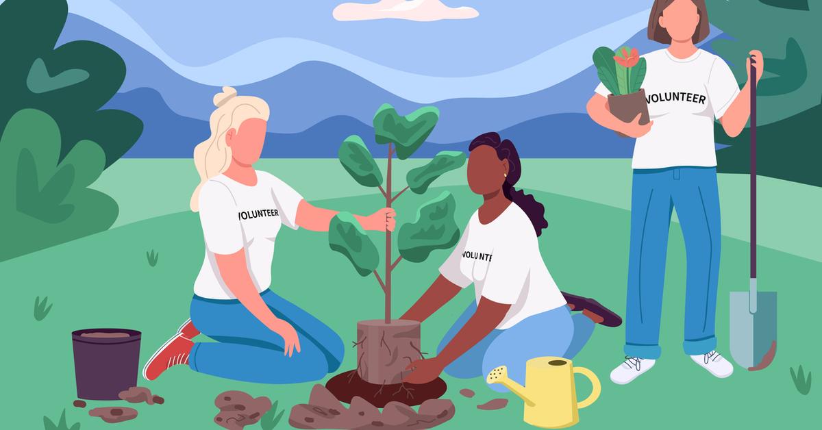 What is Ecofeminism?