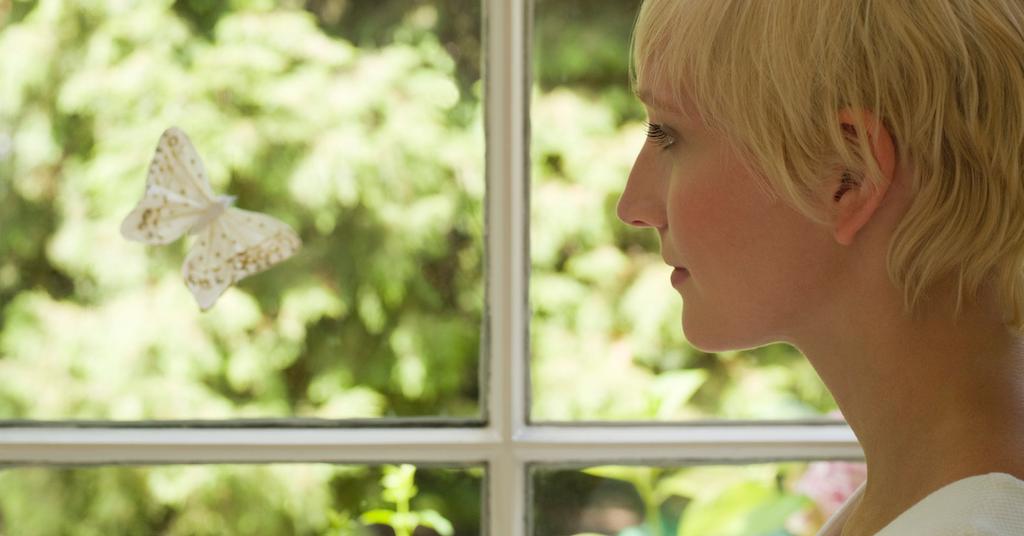 How to Humanely Catch and Relocate Bugs, Instead of Killing Them