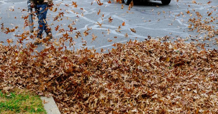 What to Do With Raked Leaves, Instead of Tossing Them in the Landfill