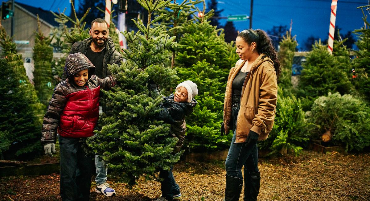 Real vs. Fake Christmas Trees: Which Is More Eco-Friendly?