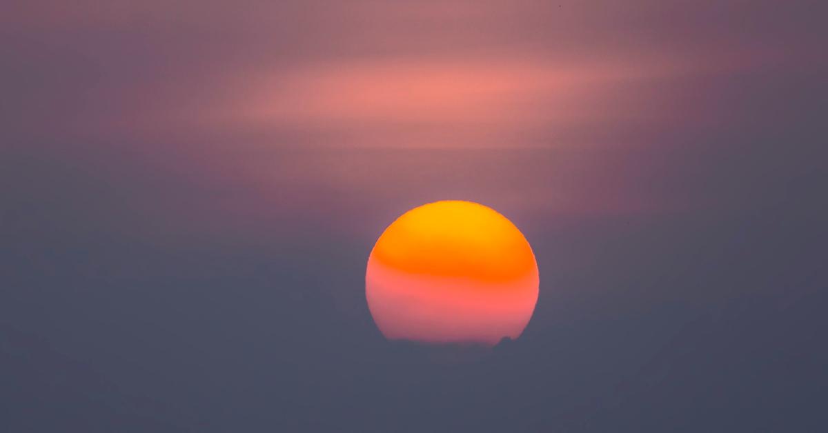 How Does Climate Change Affect Pollen Levels? Here's What Experts Say