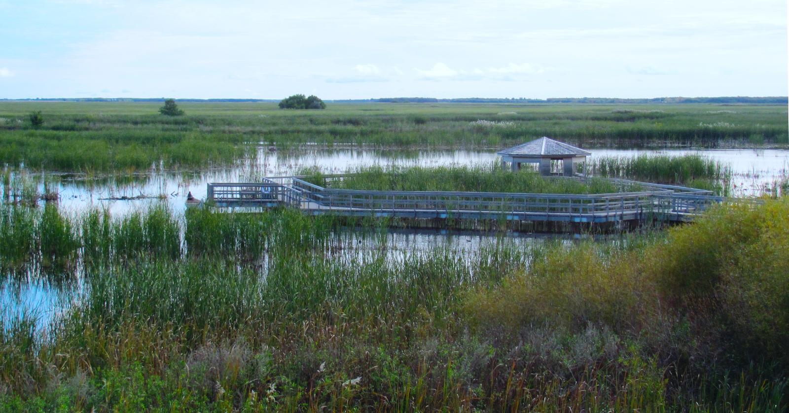 Oak Hammock Marsh Has Put Nature Right At Hand – And In It