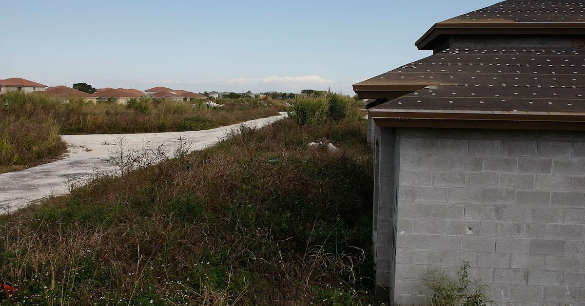 No Mow May: Behind the Environmental Movement