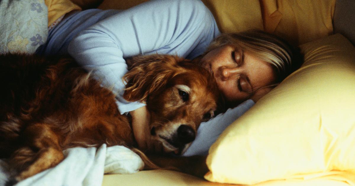 Is Napping Healthy? What to Know About Taking a Midday Snooze