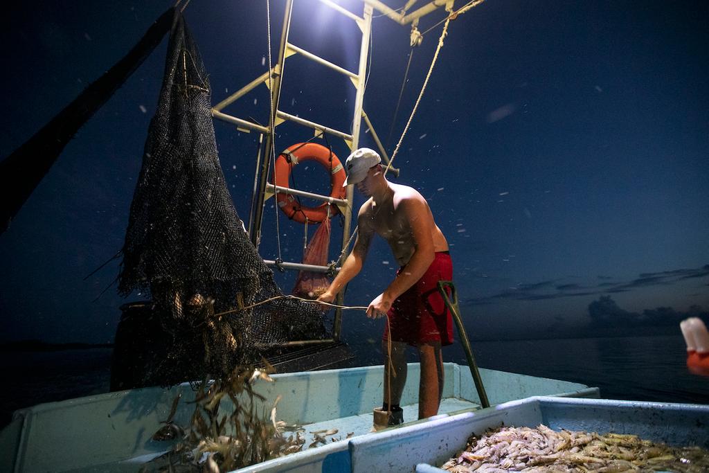 What Is Bycatch? It's a Disturbing Aspect Of the Fishing Industry