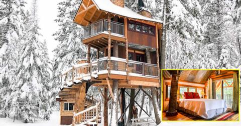 These Are the Best and Most Unique Airbnb Treehouses in the U.S.
