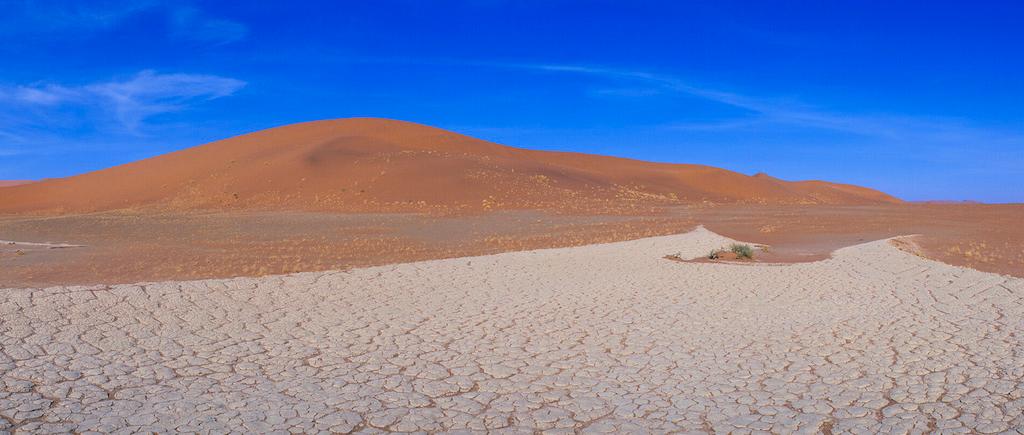 What Is Desertification?