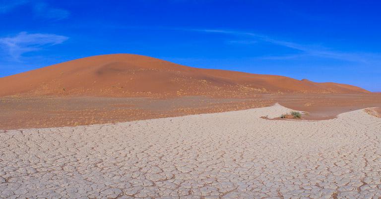 What Is Desertification?