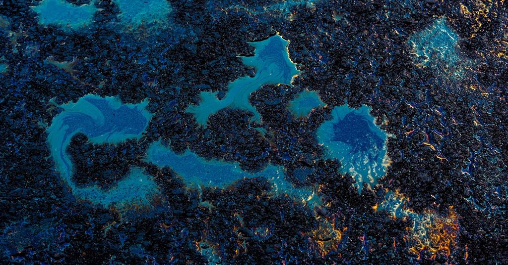 Can Fuel-Eating Bacteria Clean Oil Spills? What to Know