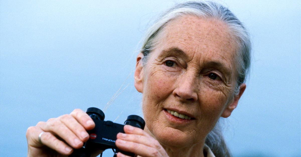 Fun Facts About Jane Goodall