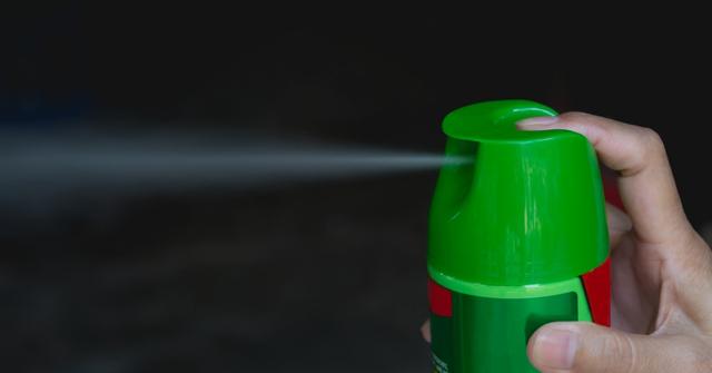 What Are the Best Indoor Fly Sprays?