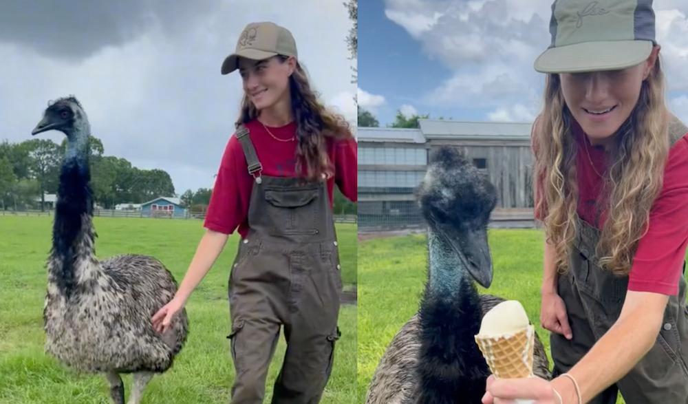 Who Is Emmanuel From Knuckle Bump Farms?